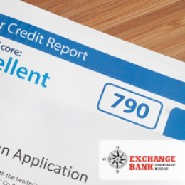 Red Flags to Look for on Your Credit Score | Exchange Bank of Northeast